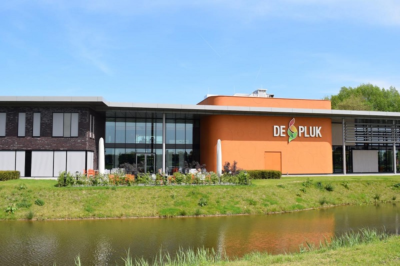 Dagverzorging De Pluk - SZR